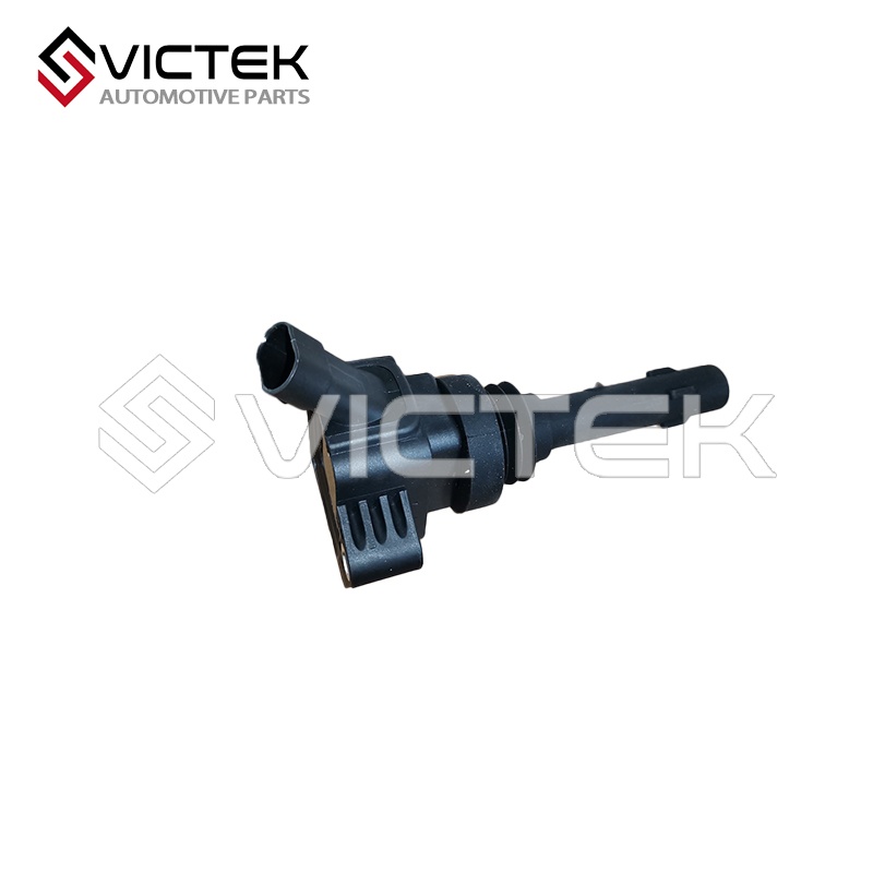 Ignition Coil 1026102GD190